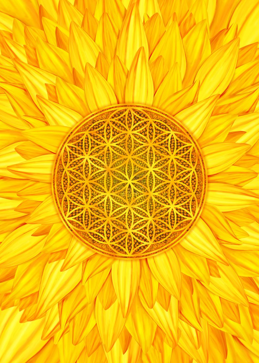'Flower of Life Sunflower' Poster, picture, metal print, paint by ...
