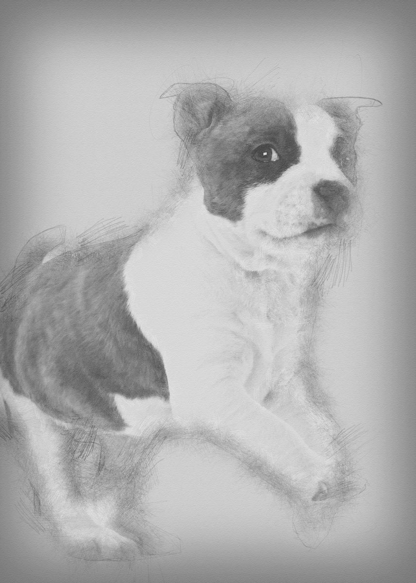 'Portrait of American Staff' Poster by Noahs Ark | Displate