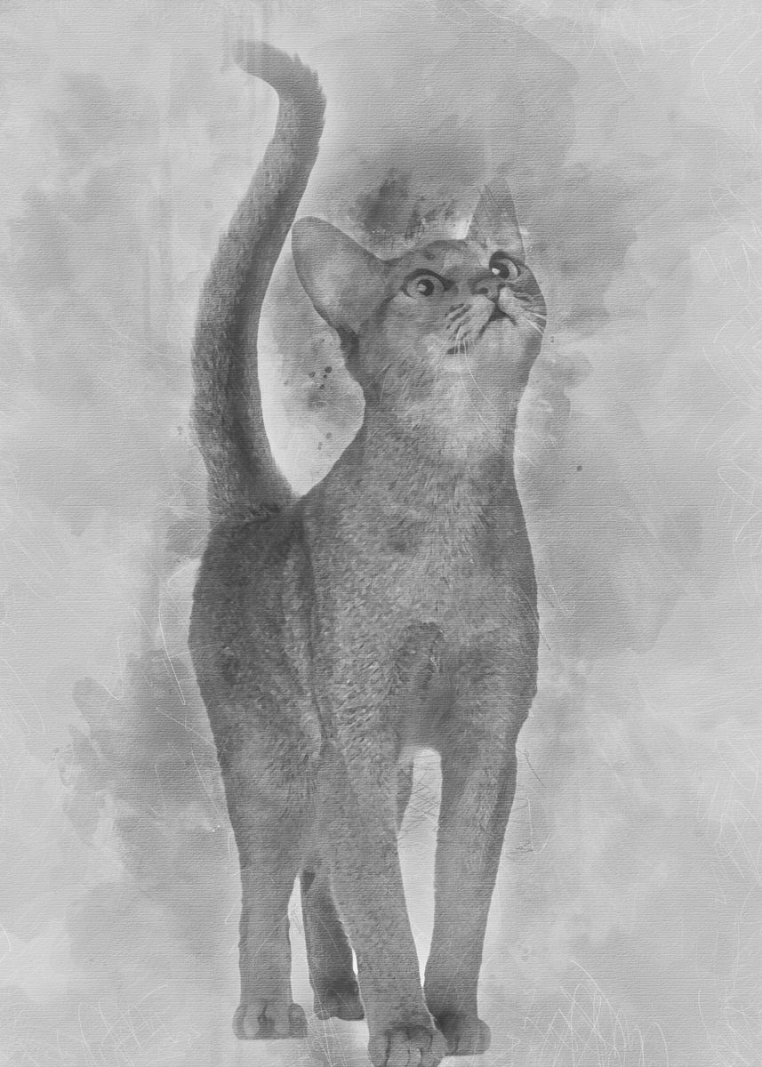 'Abyssinian cat 11 months o' Poster, picture, metal print, paint by ...