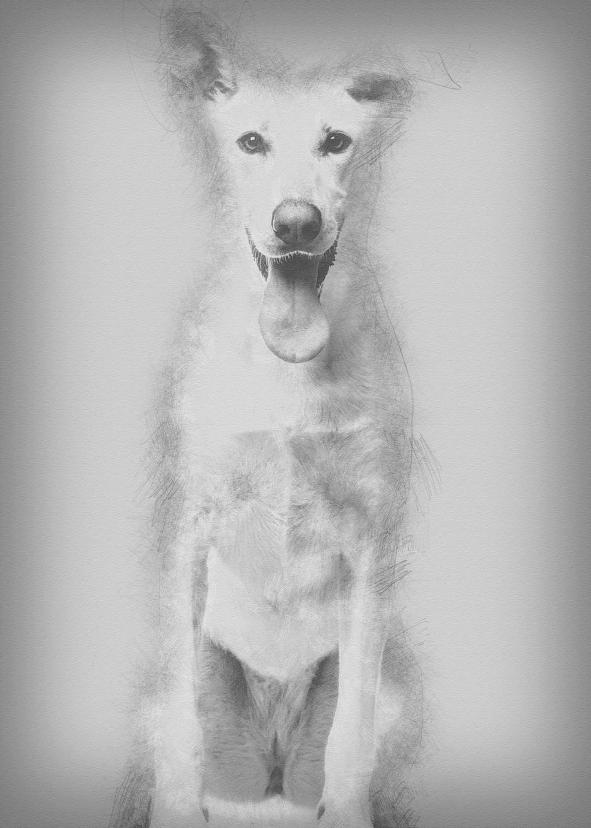 'Portrait of Crossbreed dog' Poster, picture, metal print, paint by ...