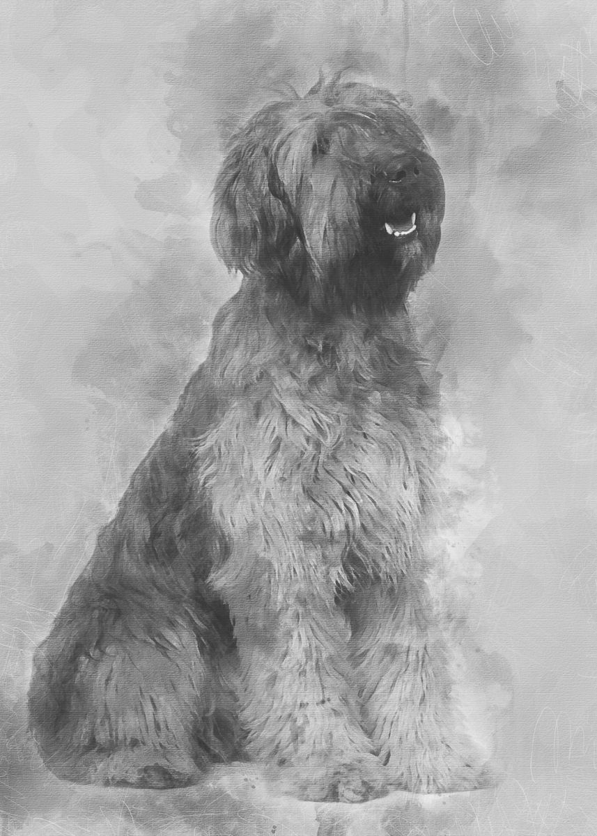 'Briard dog 9 Months Old si' Poster by Noahs Ark | Displate