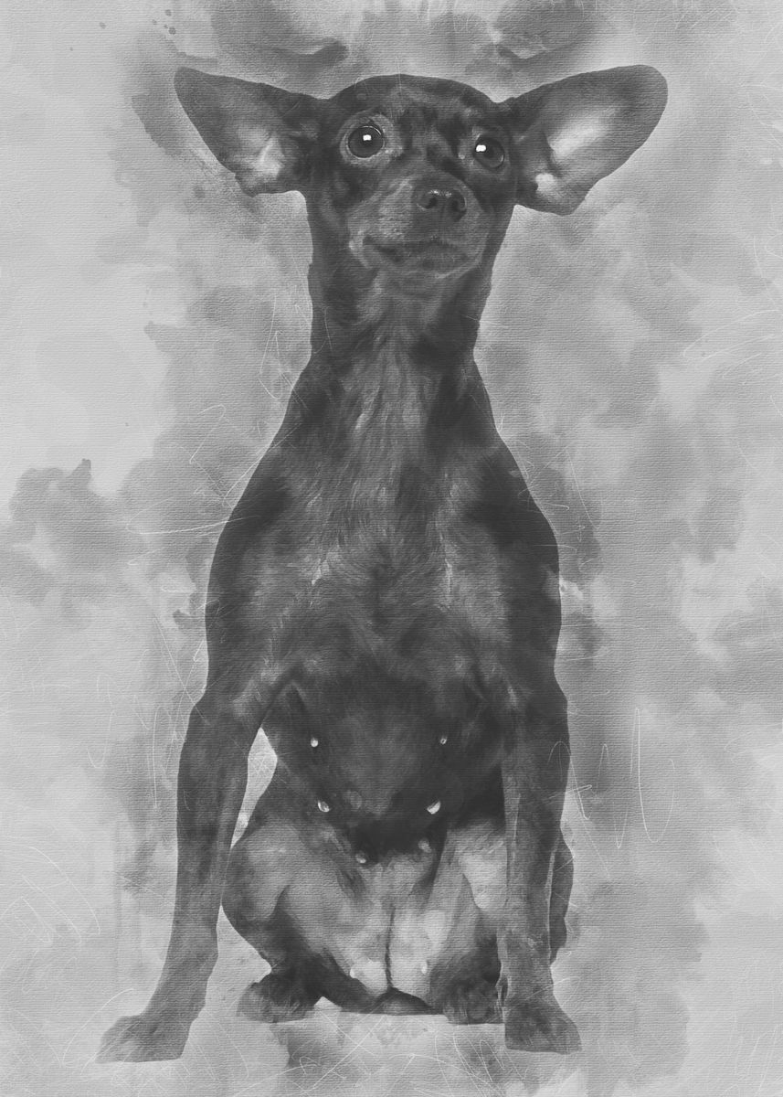 'Miniature pincher 3 years ' Poster, picture, metal print, paint by ...