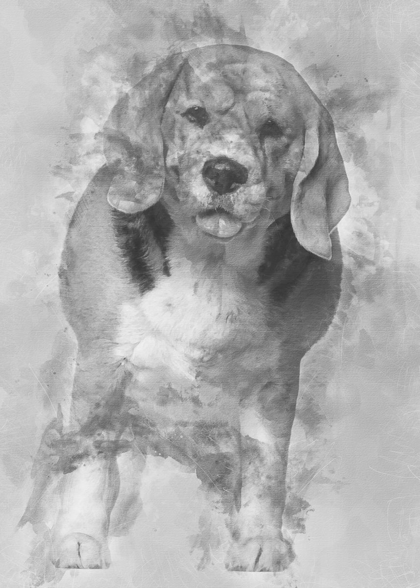 'Fat Beagle 3 years old sta' Poster, picture, metal print, paint by ...