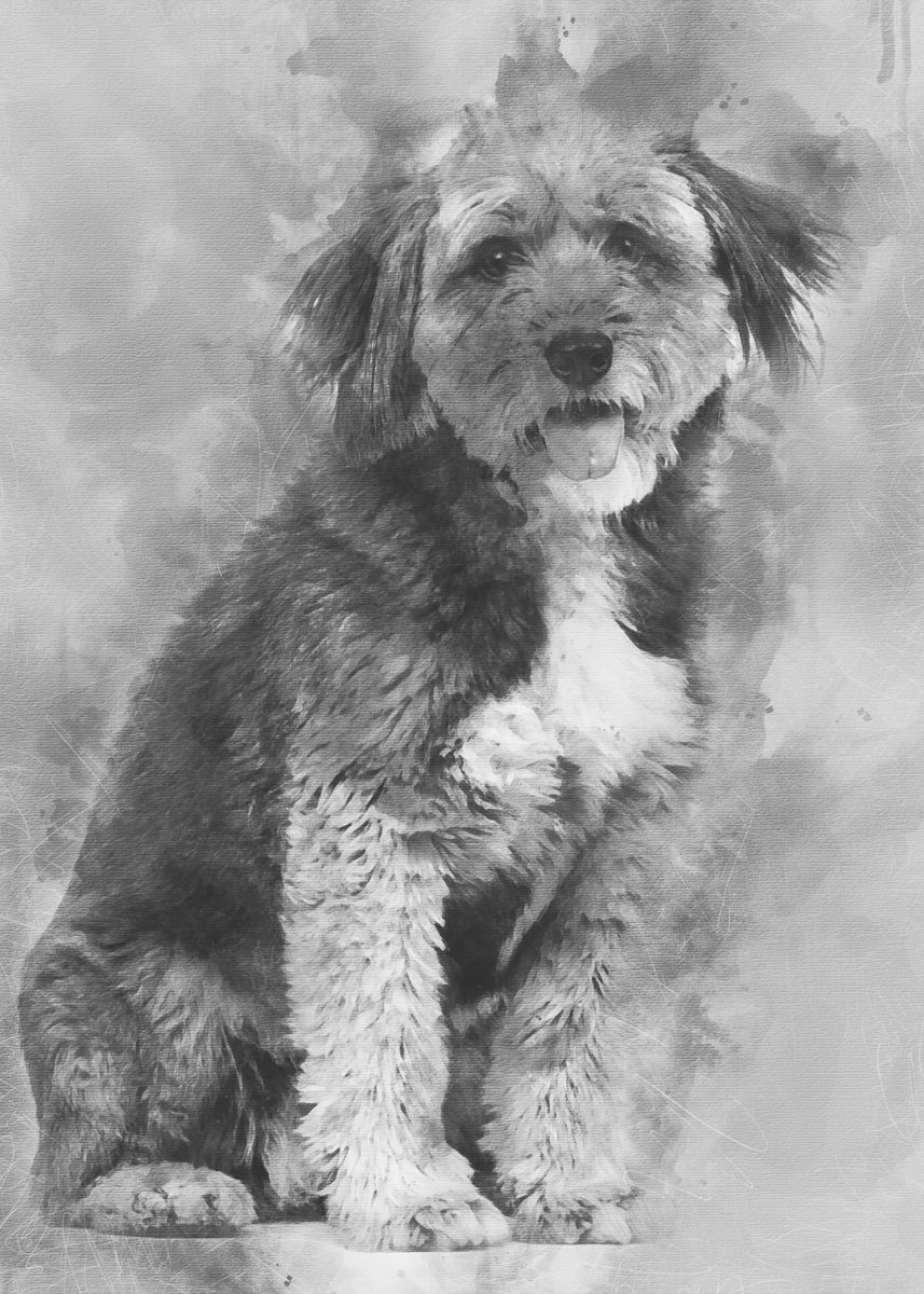 'Crossbreed 4 years old sit' Poster, picture, metal print, paint by ...