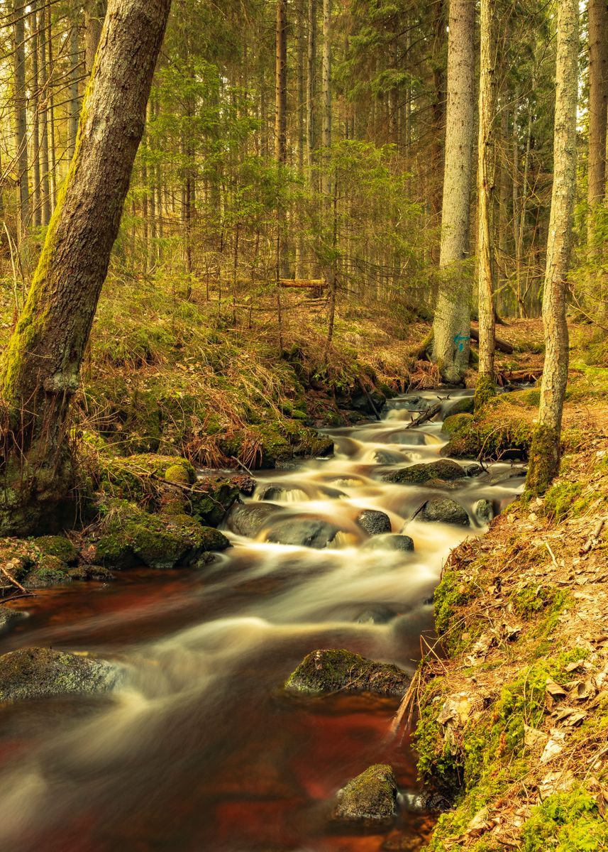 'Ravine' Poster, picture, metal print, paint by Joakim Lind | Displate