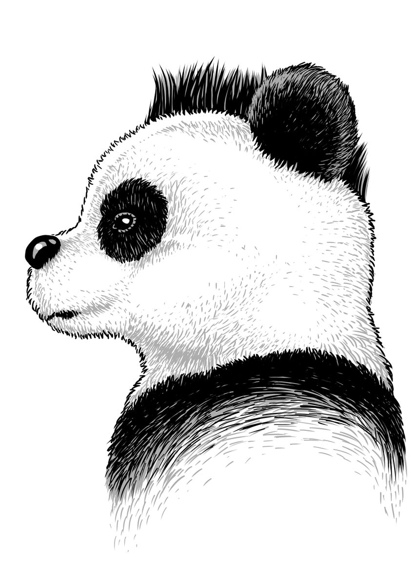 'Punk Panda Profile' Poster, picture, metal print, paint by Alberto ...