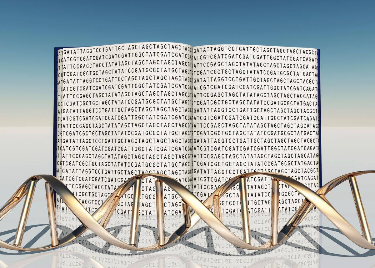 'Book of Life' Poster by Bruce Rolff | Displate