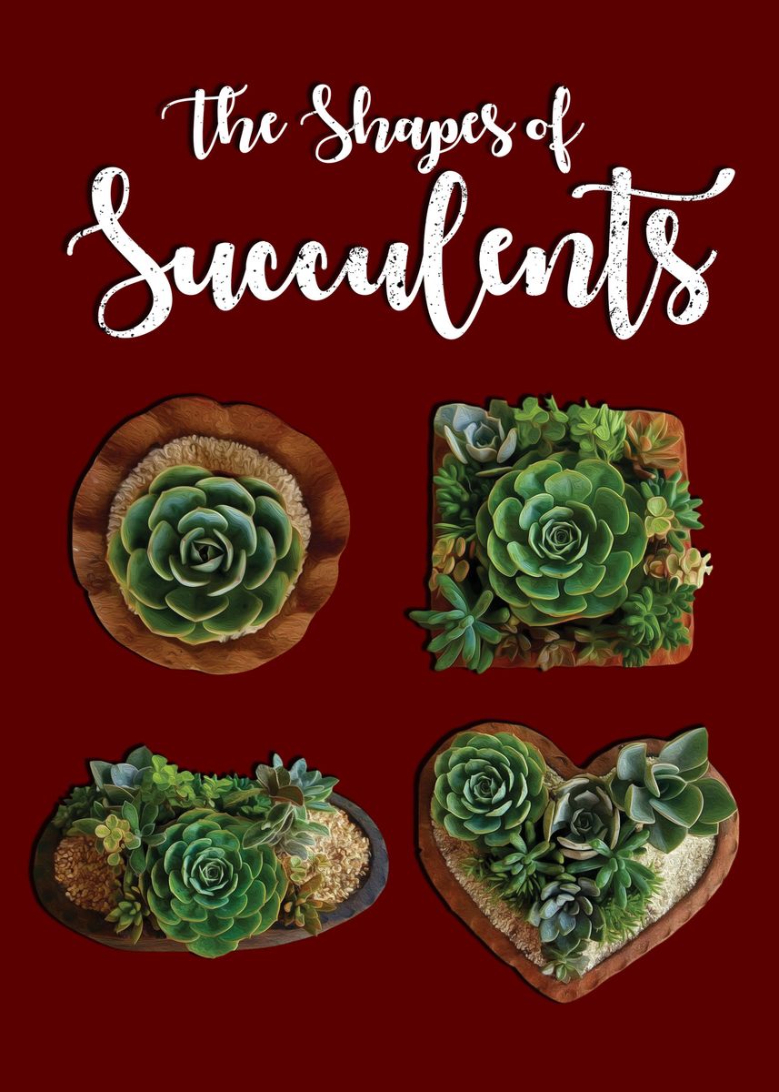 'Shapes of Succulents' Poster by Ivan Marl Villanueva | Displate