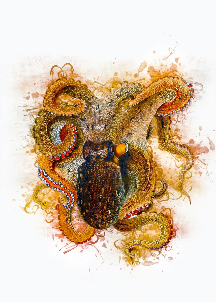 'Octopus Art' Poster by Ian Mitchell | Displate