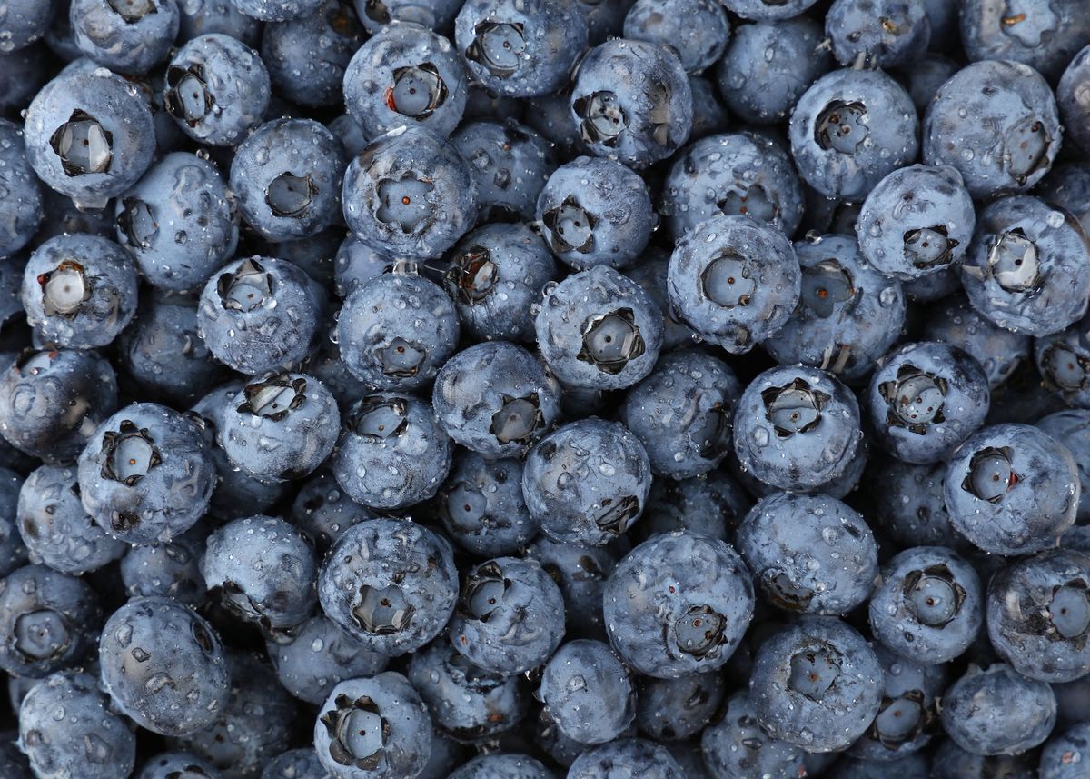 'Close up blueberry' Poster by Anton Eine | Displate