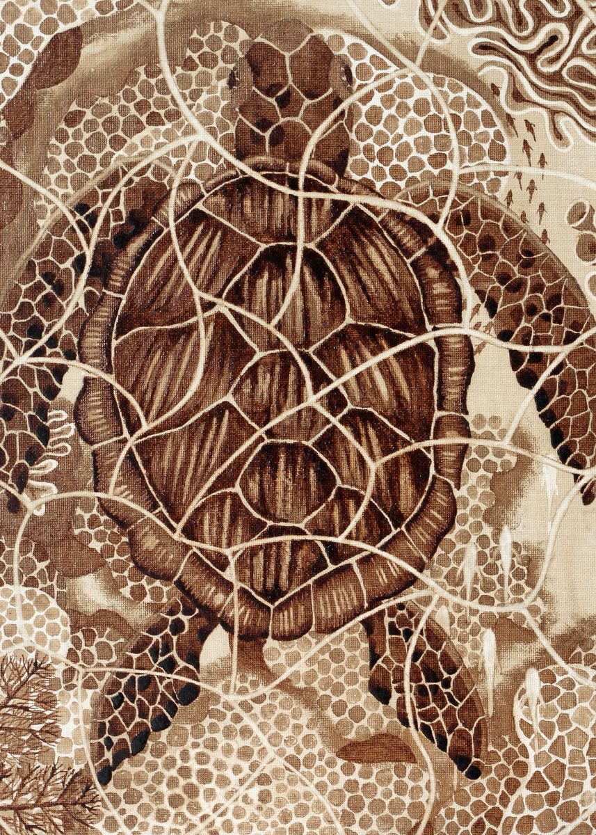 'Coffee Turtle' Poster, picture, metal print, paint by Joseph Drian ...