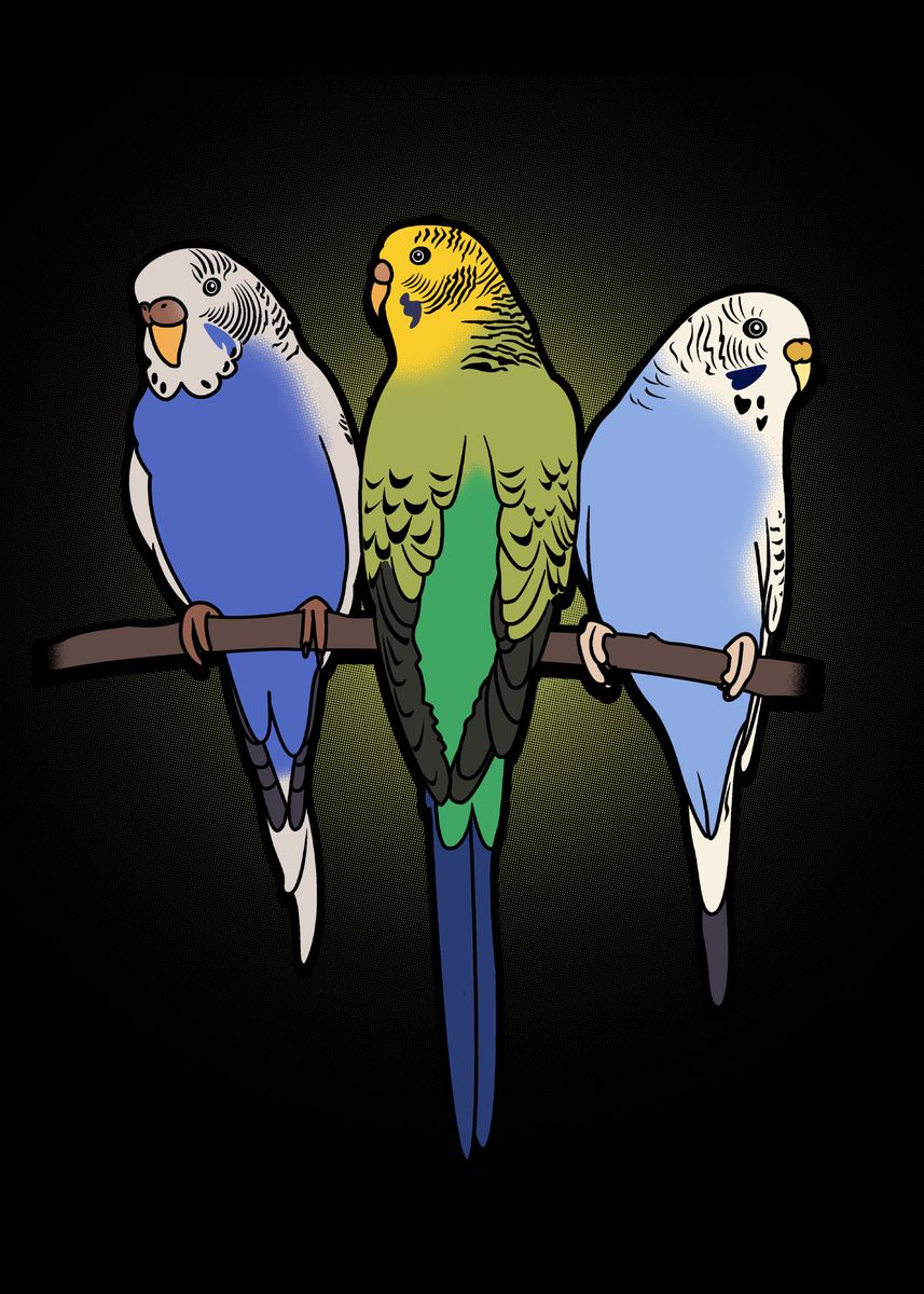 'Budgie Budgerigar' Poster, picture, metal print, paint by Wonderful ...
