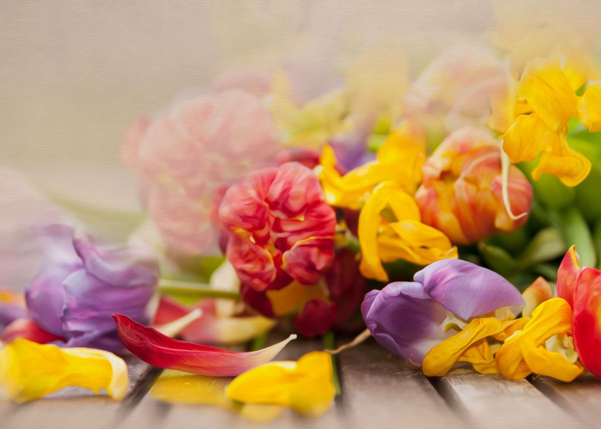 'Petals' Poster by Svetlana Sewell | Displate