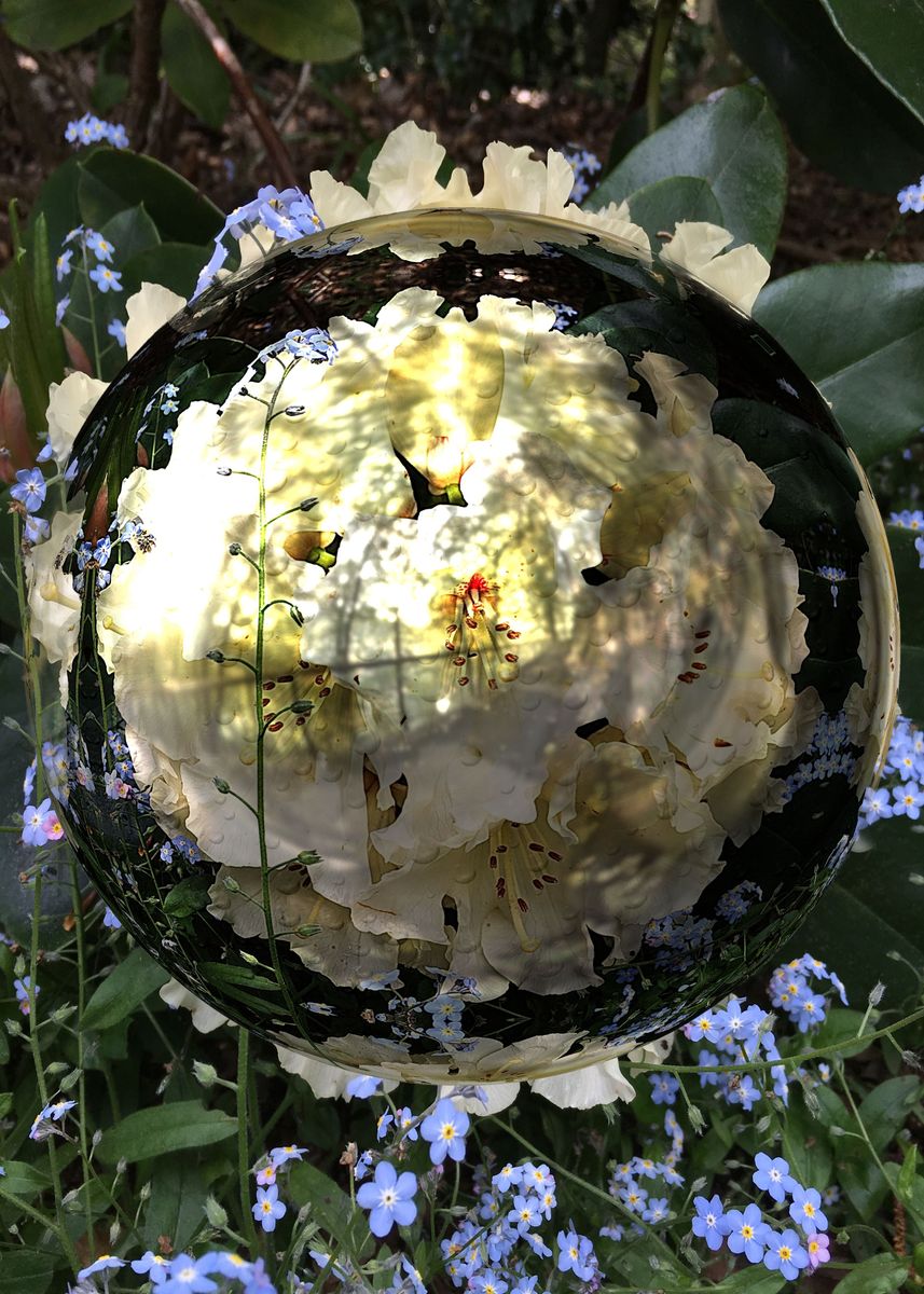 '3d flower' Poster, picture, metal print, paint by Maja Vladisavljevic ...