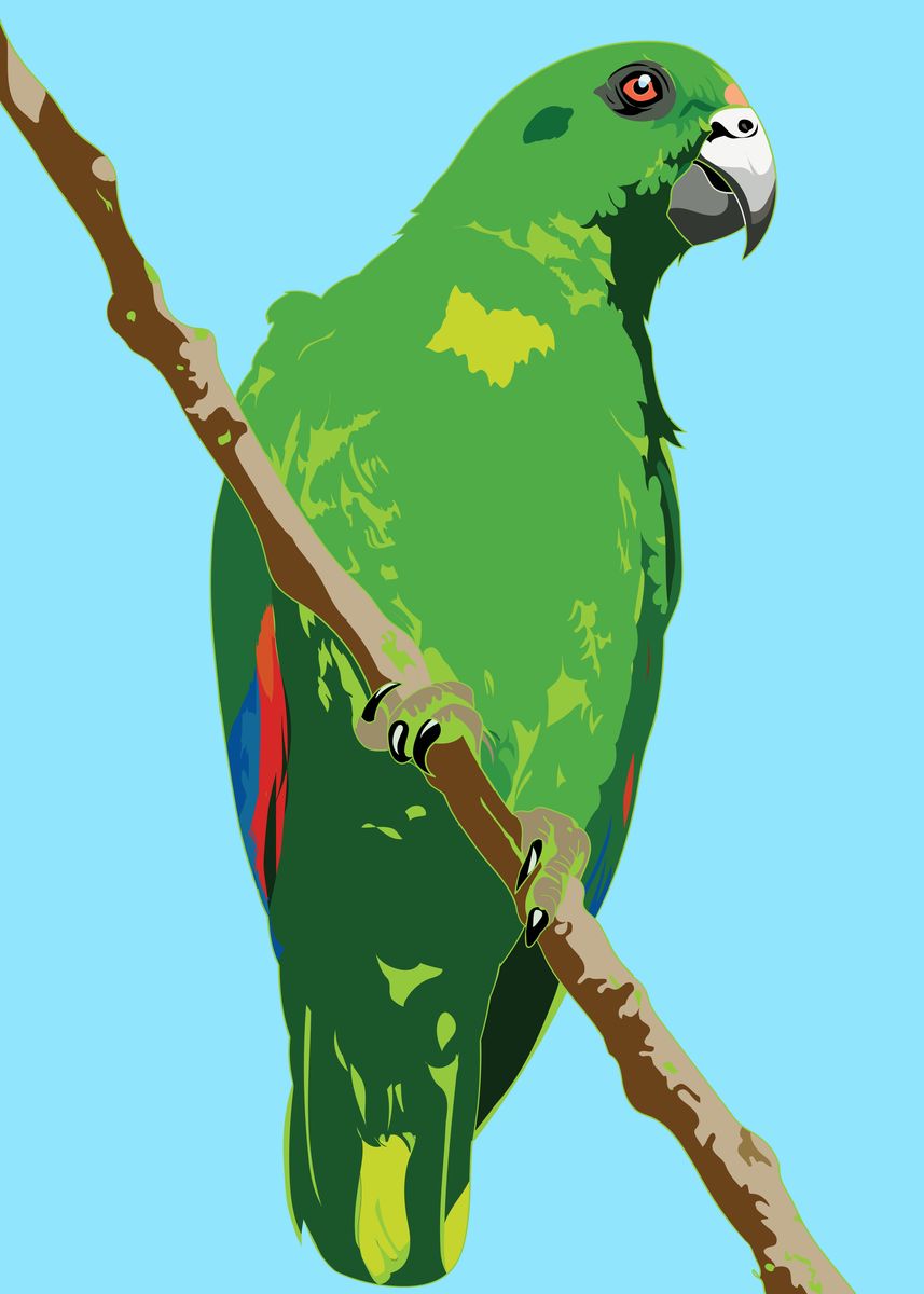 'Green Parrot' Poster, picture, metal print, paint by Howard Myrie ...