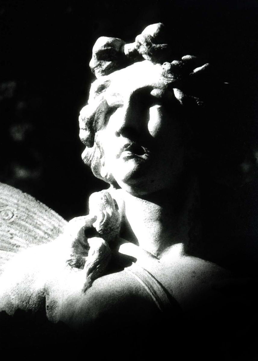 'Mother Of Creation' Poster, picture, metal print, paint by BCG ...