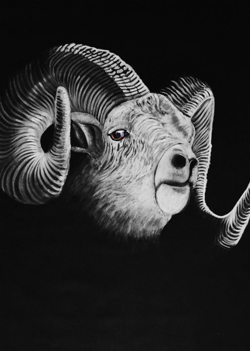 'big horn' Poster by Gary Chuah | Displate