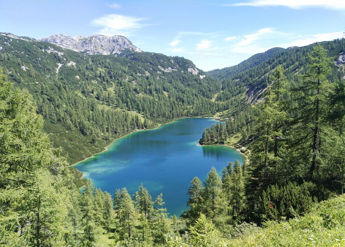 'Fairy Tale Lake' Poster by Fabian Krainberger | Displate