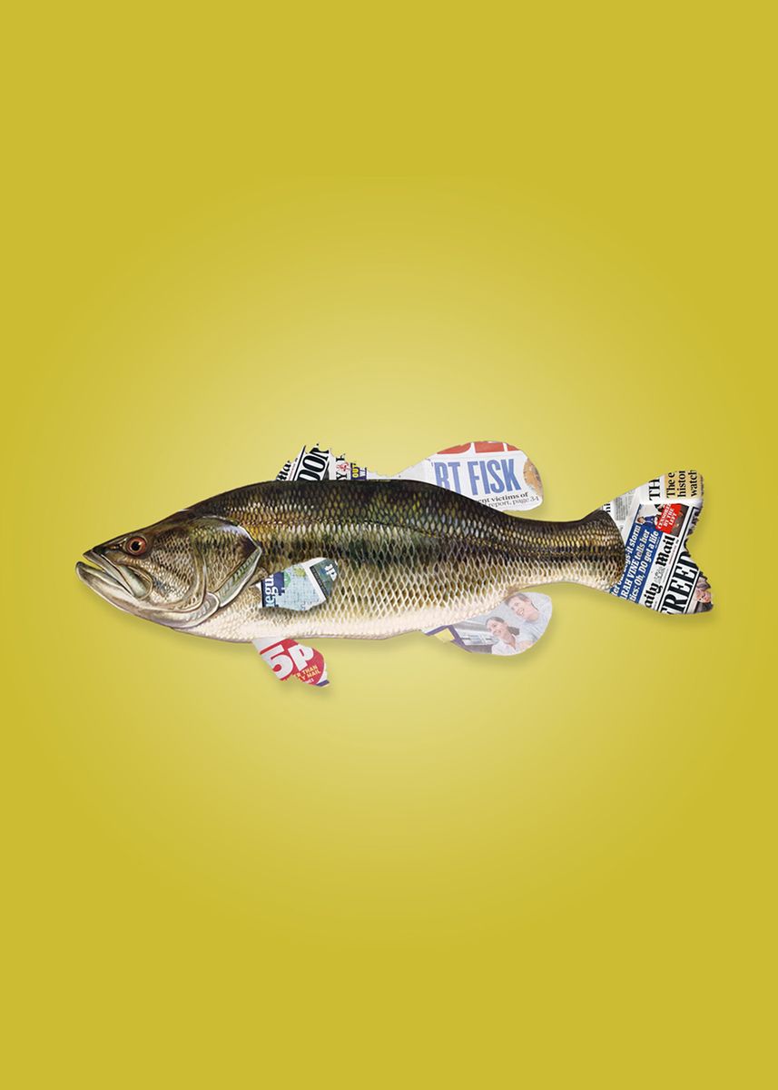 'Fish' Poster, picture, metal print, paint by Zoltan David | Displate