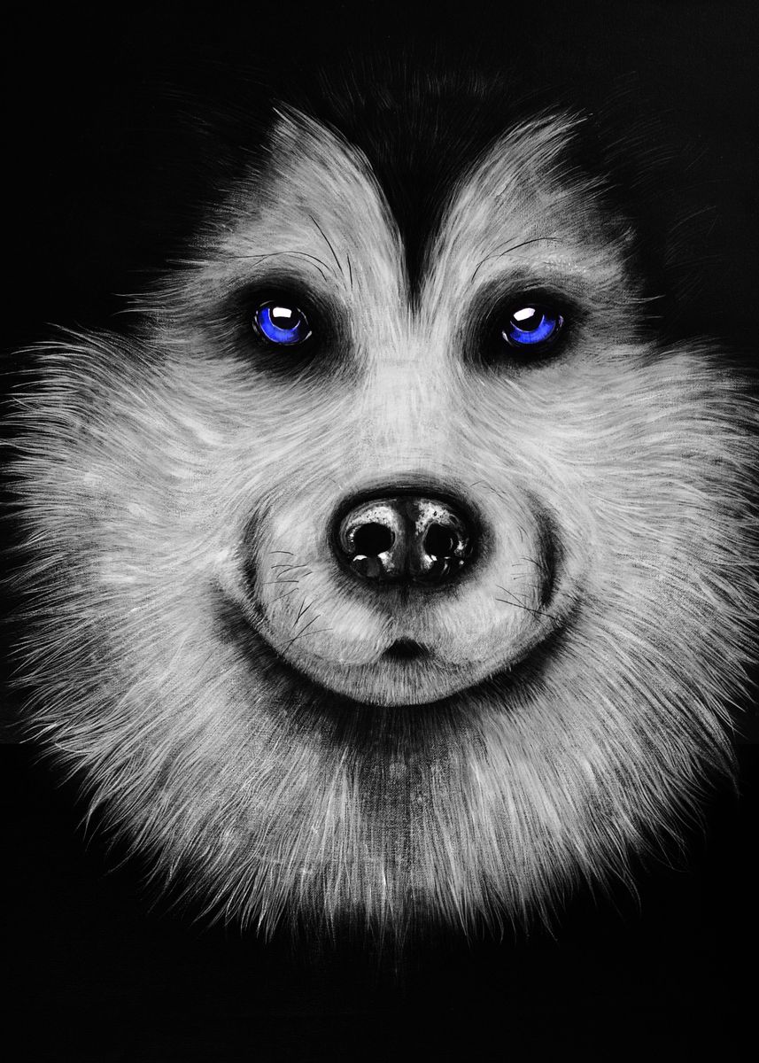 'huskey' Poster, picture, metal print, paint by Gary Chuah | Displate