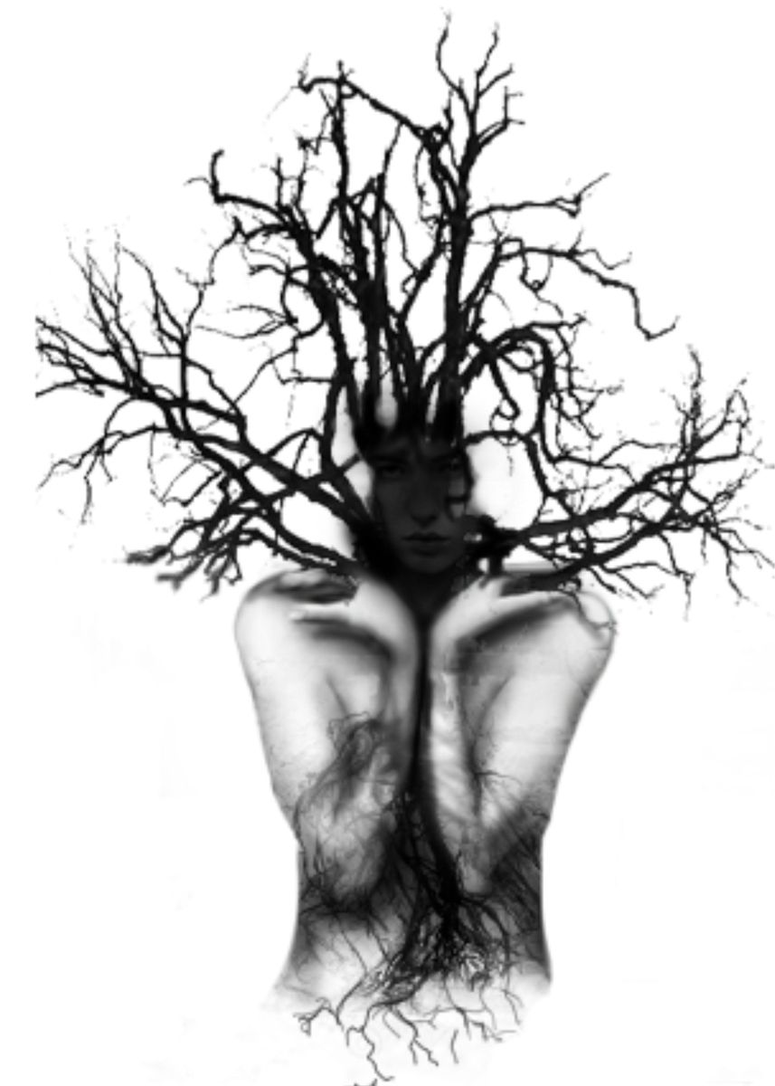 ' quintessence of nature 1' Poster, picture, metal print, paint by Girl ...