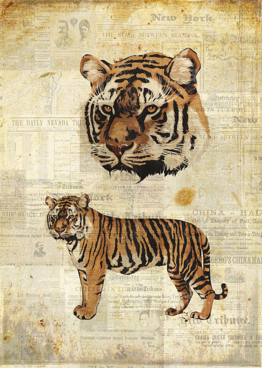 'Tiger' Poster, picture, metal print, paint by Karmina Cuzon | Displate