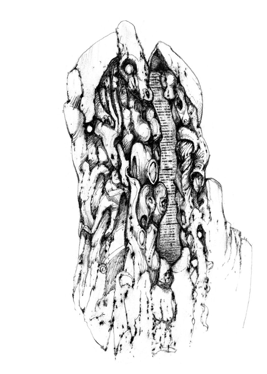 'Split personality' Poster, picture, metal print, paint by Milivoj ...