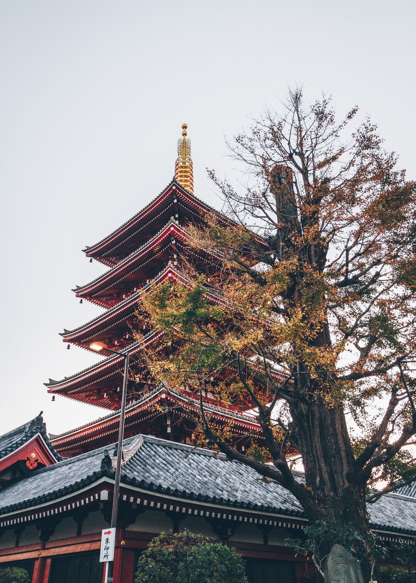 ' Senso Ji Temple ' Poster by Mario Popescu | Displate