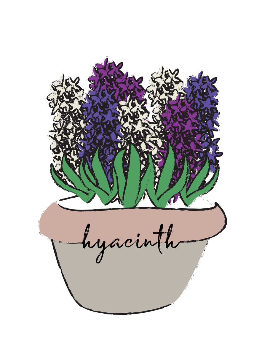 'Hyacinth' Poster, picture, metal print, paint by Oh My Word Artistry ...