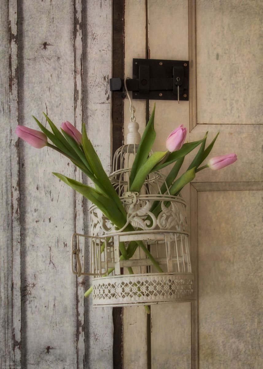 'Caged flowers ' Poster, picture, metal print, paint by Guna Andersone ...