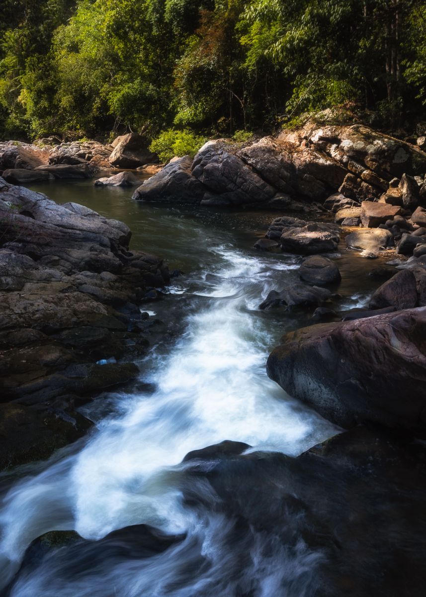 'Lubuk Yu v1' Poster, picture, metal print, paint by Syed Hafeez | Displate