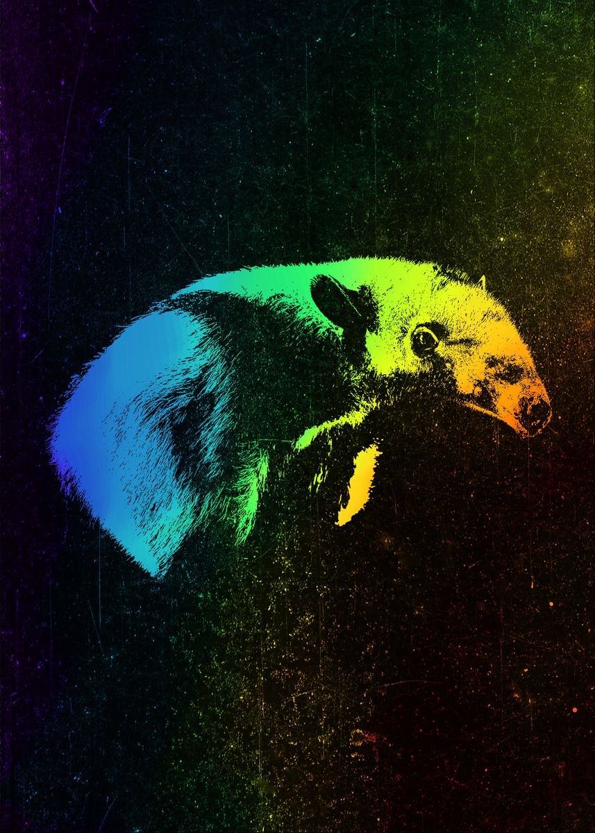 'Anteater Colorful' Poster, picture, metal print, paint by Charismatic ...