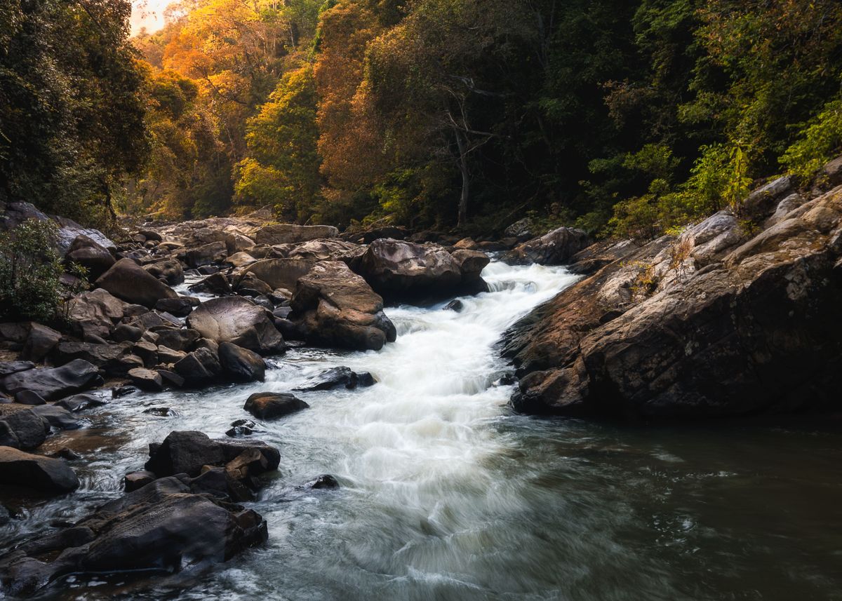 'Lubuk Yu v3' Poster by Syed Hafeez | Displate