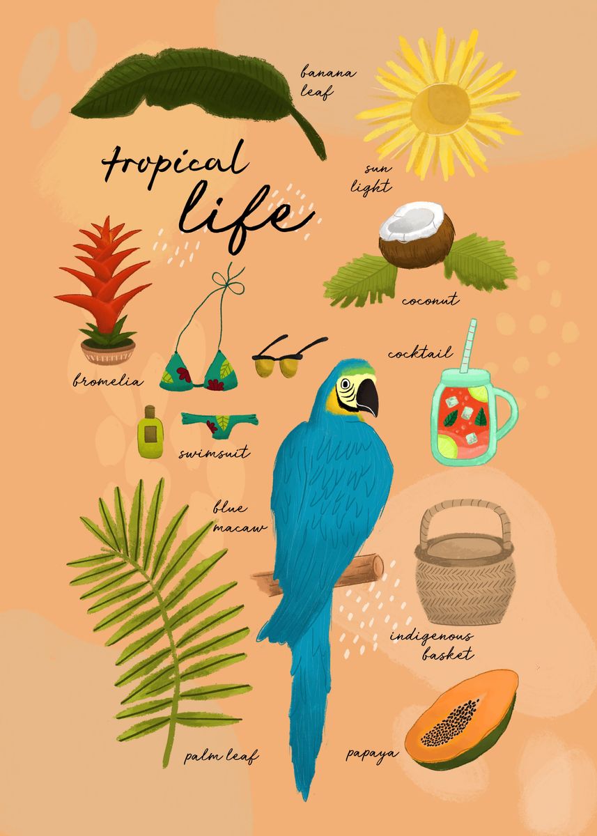 'Tropical Life' Poster by Susana Segatto | Displate