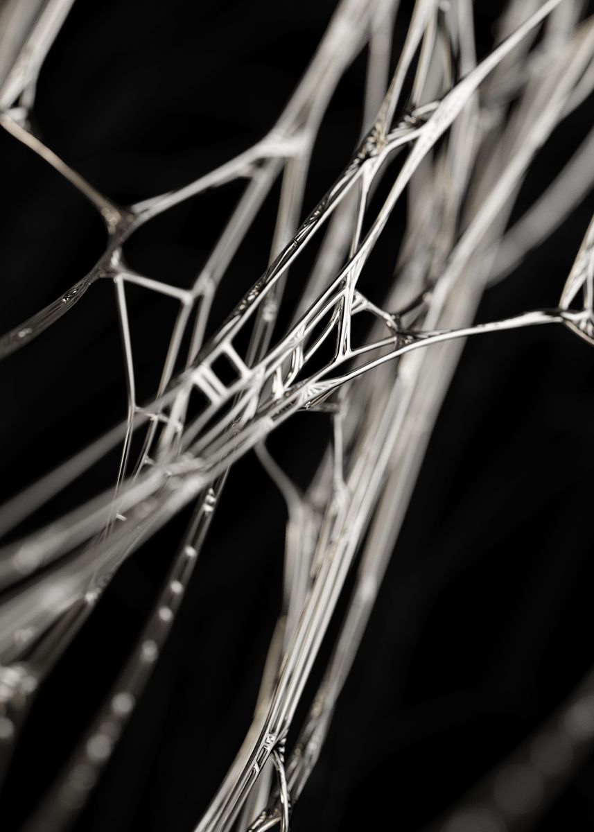 'Entangled' Poster by Aivaras Grauzinis | Displate