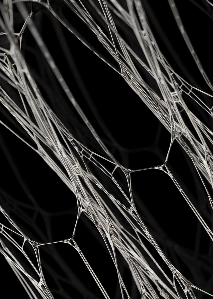 'Entangled' Poster by Aivaras Grauzinis | Displate