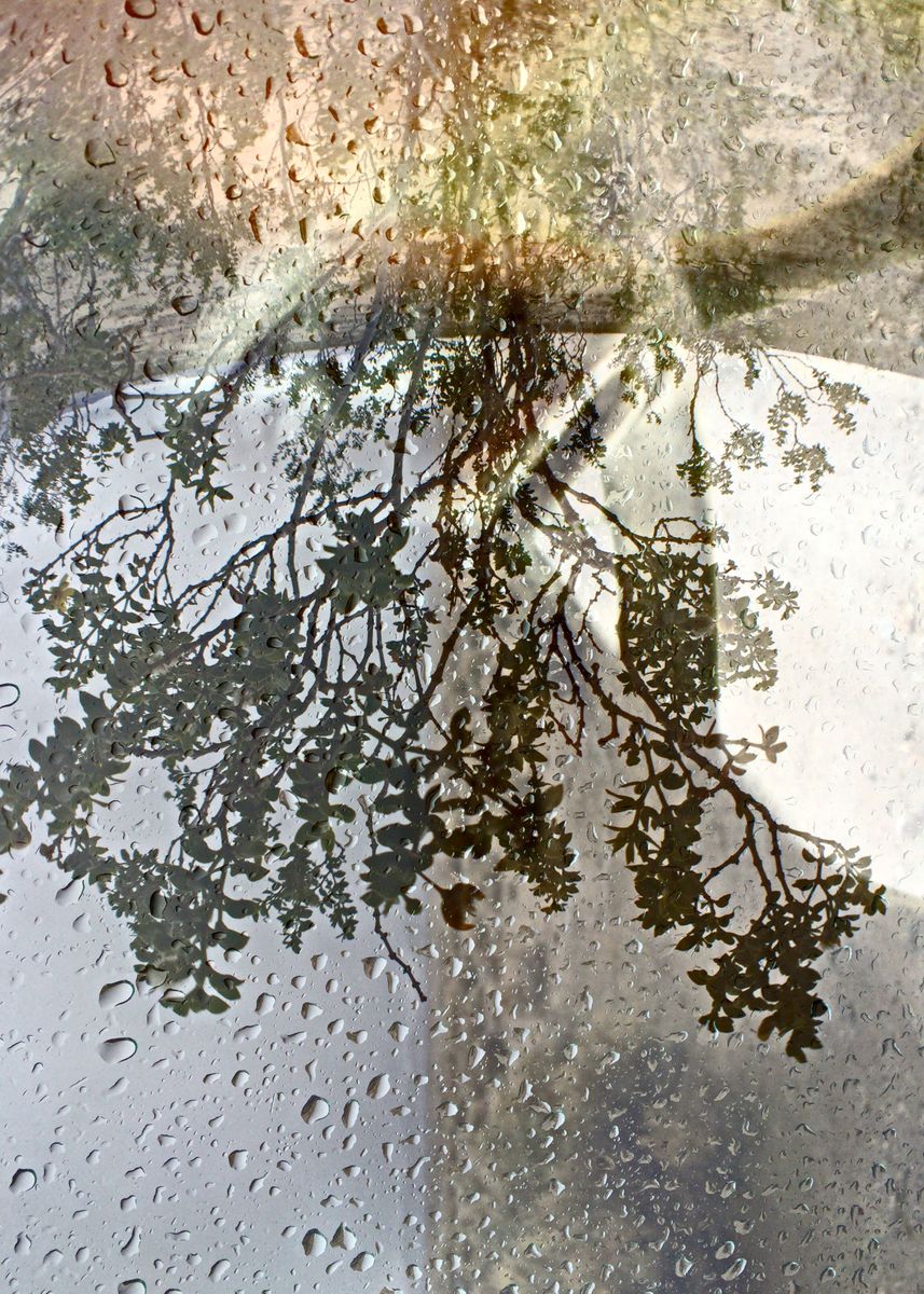 'Mood Shift' Poster, picture, metal print, paint by Annie Rush | Displate