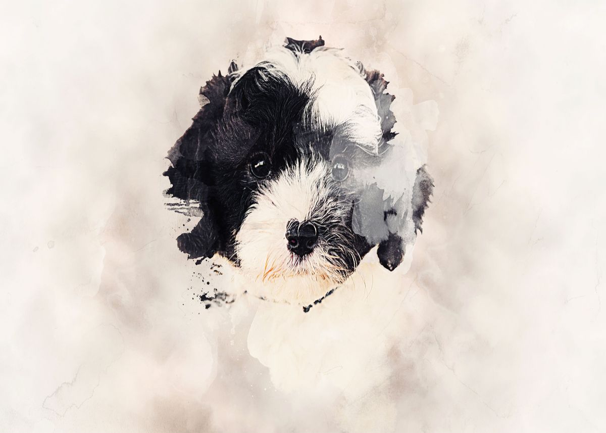 'Bernedoodle Classic Sepia ' Poster by Family Cutey | Displate