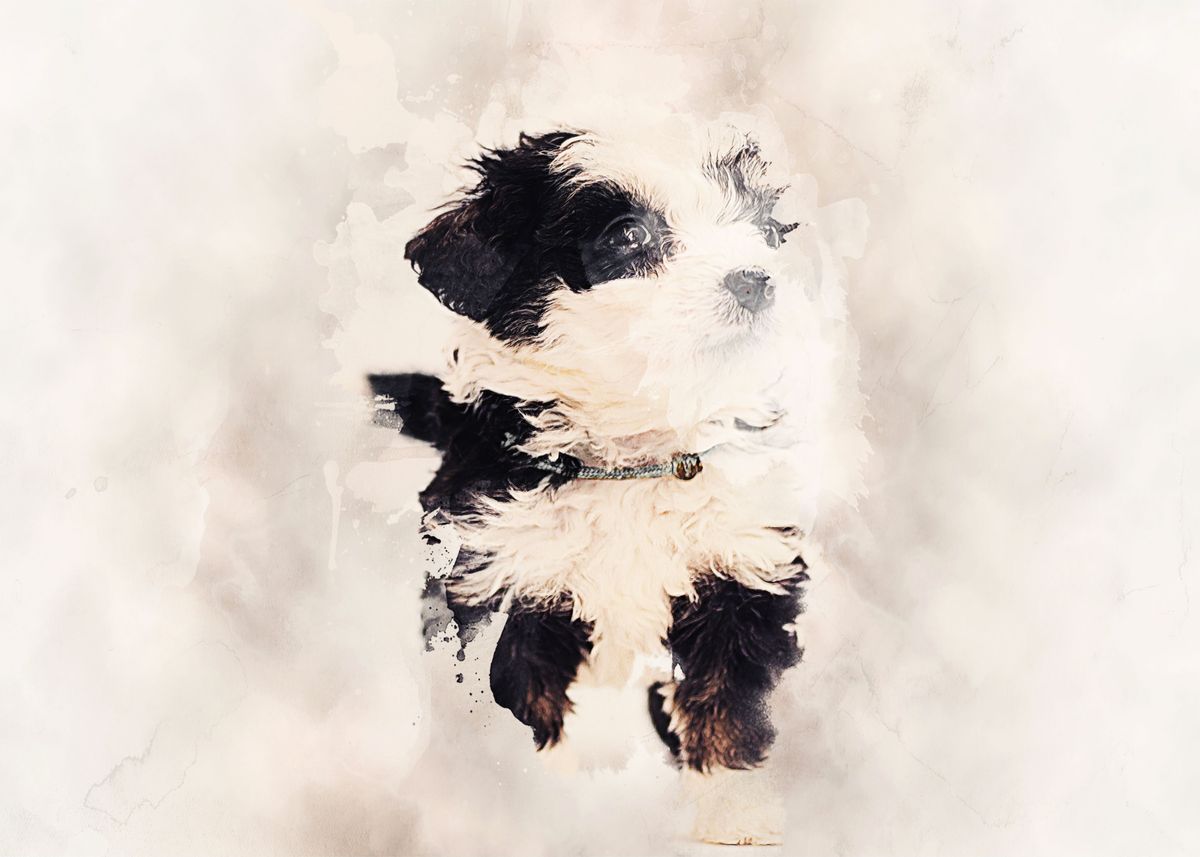 'Bernedoodle Classic Sepia ' Poster by Family Cutey | Displate