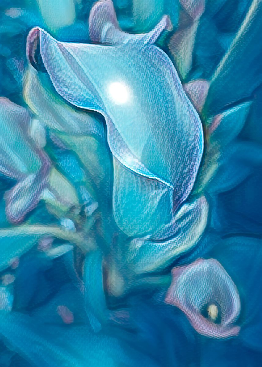 'blue colored calla' Poster, picture, metal print, paint by Ornella ...