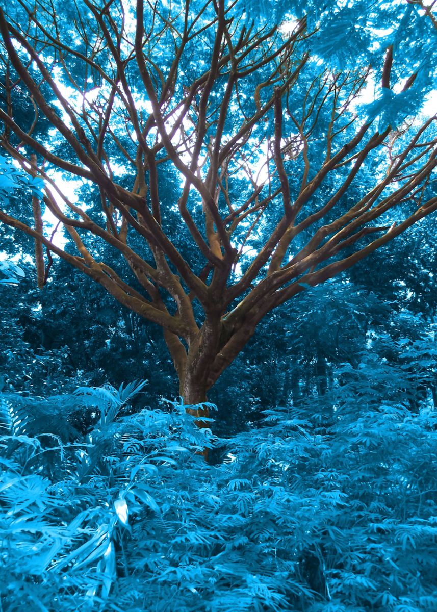 'Tree' Poster by eka dharmayuda | Displate