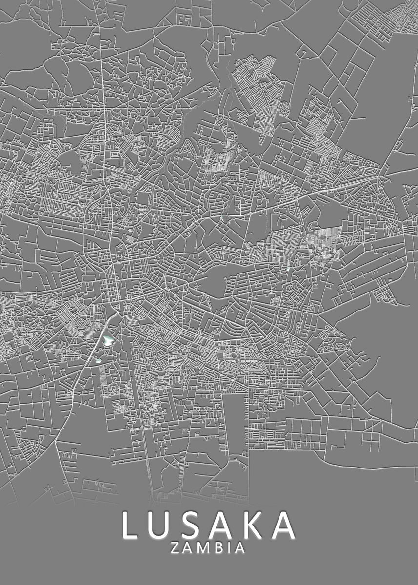 'Lusaka Zambia City Map' Poster, picture, metal print, paint by City ...