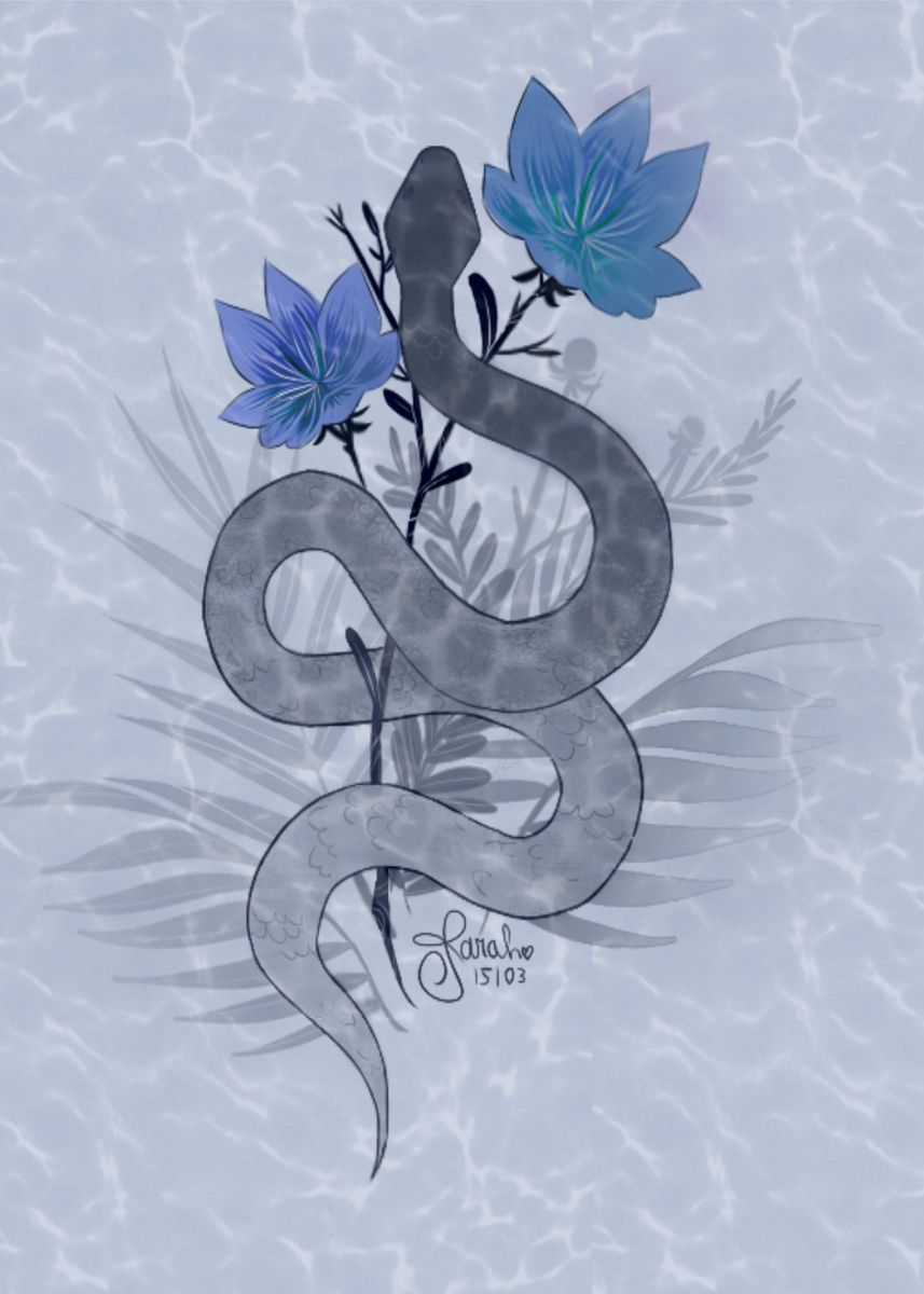 'Snake Illustration blue' Poster, picture, metal print, paint by Sarah ...