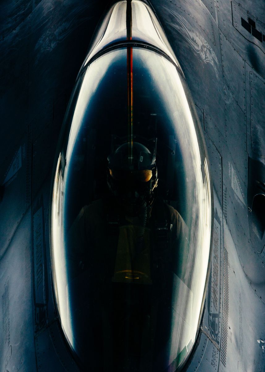 'Pilot Life' Poster, picture, metal print, paint by Conceptual ...