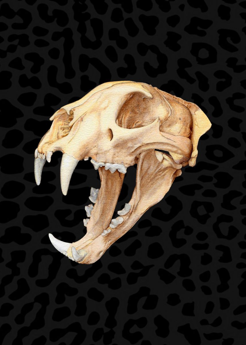 'Leopard Skull' Poster, picture, metal print, paint by Warren Port ...
