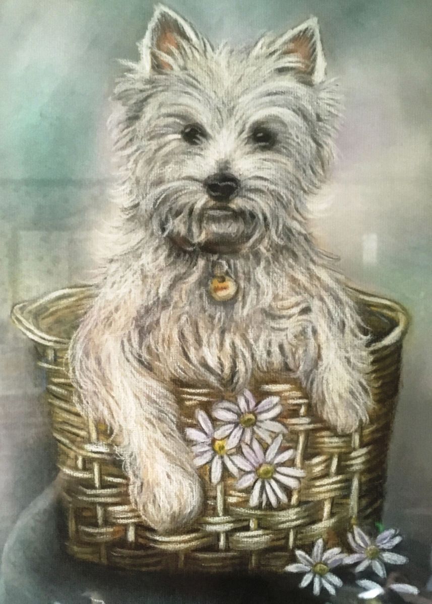 'scottie' Poster, picture, metal print, paint by deborah shipman | Displate