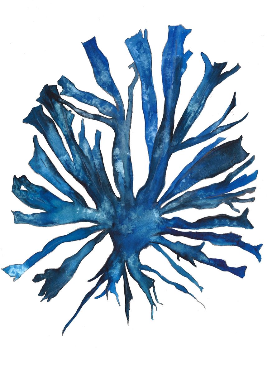 'Blue coral flower dream' Poster by Lara K | Displate