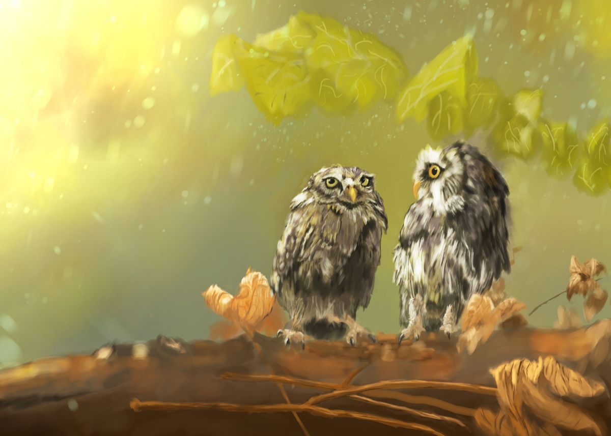 'Owls in communication' Poster by Vladimir Ivanovski | Displate