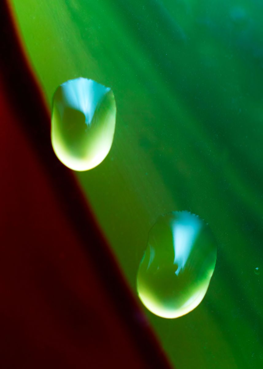 '2 Drops Green Red' Poster, picture, metal print, paint by Nihat Uysal ...