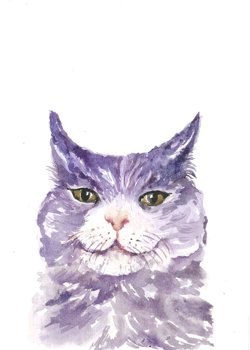'Cute Violet Cat ' Poster, picture, metal print, paint by sevia ...